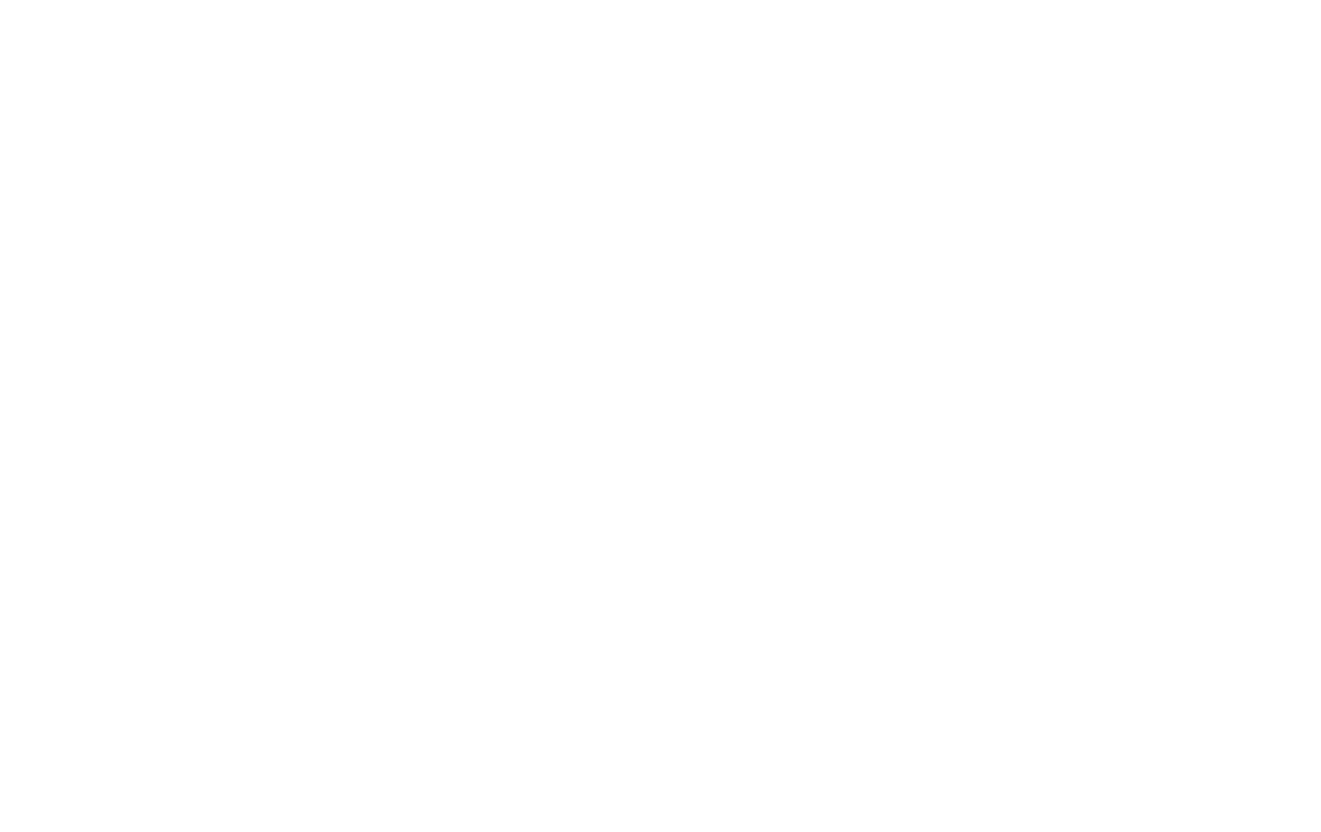 viZin Group – Vision, Generation Z, Innovation